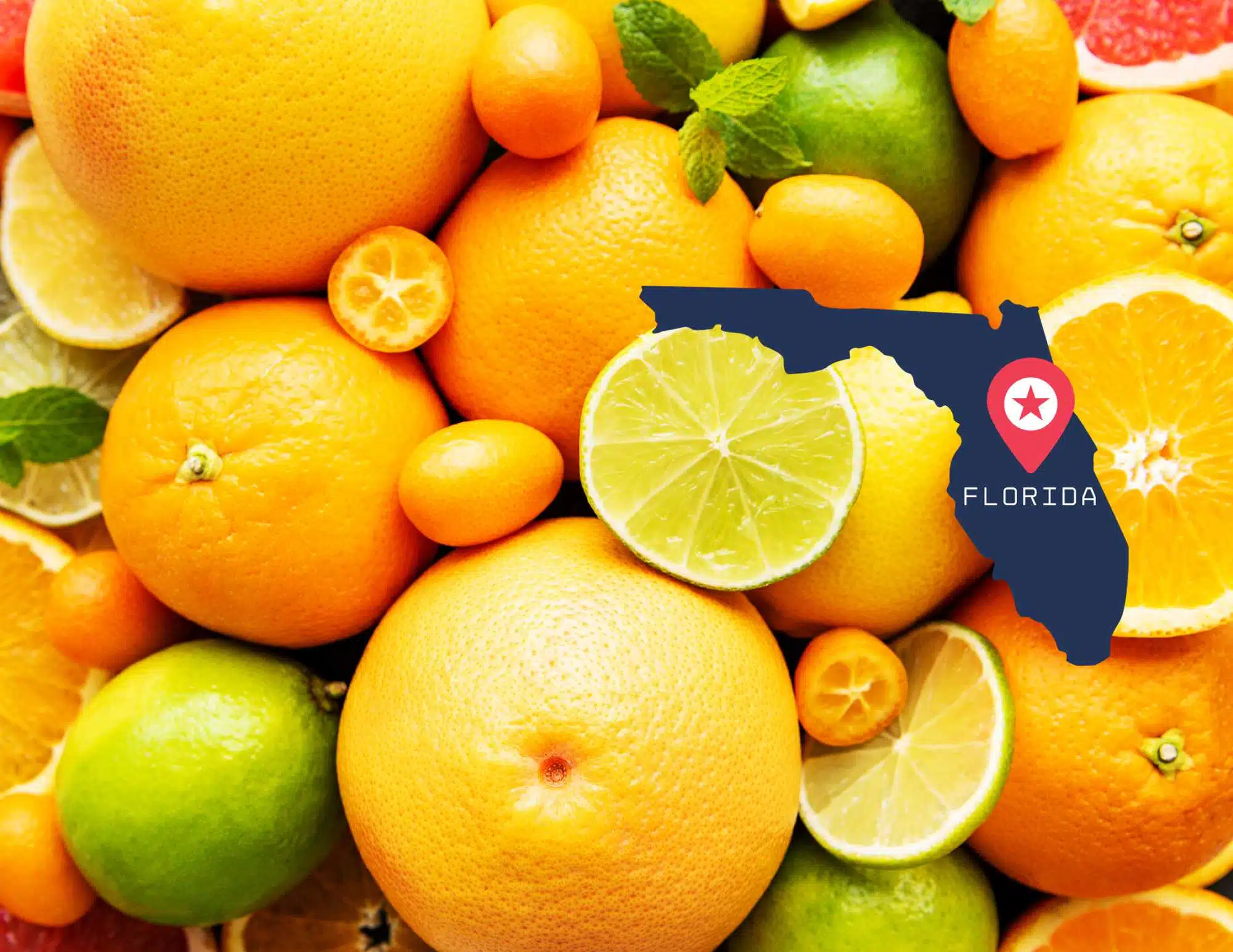 Florida - Citrus Fruit Dealer Bond - Axcess Surety