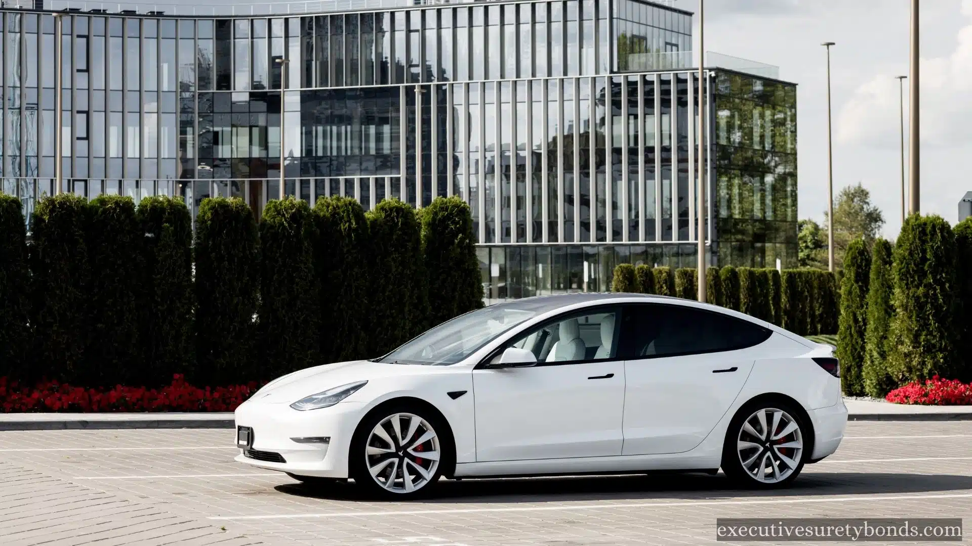 Unlocking the Road: The Arizona Electronic Motor Vehicle Records (LLC ...