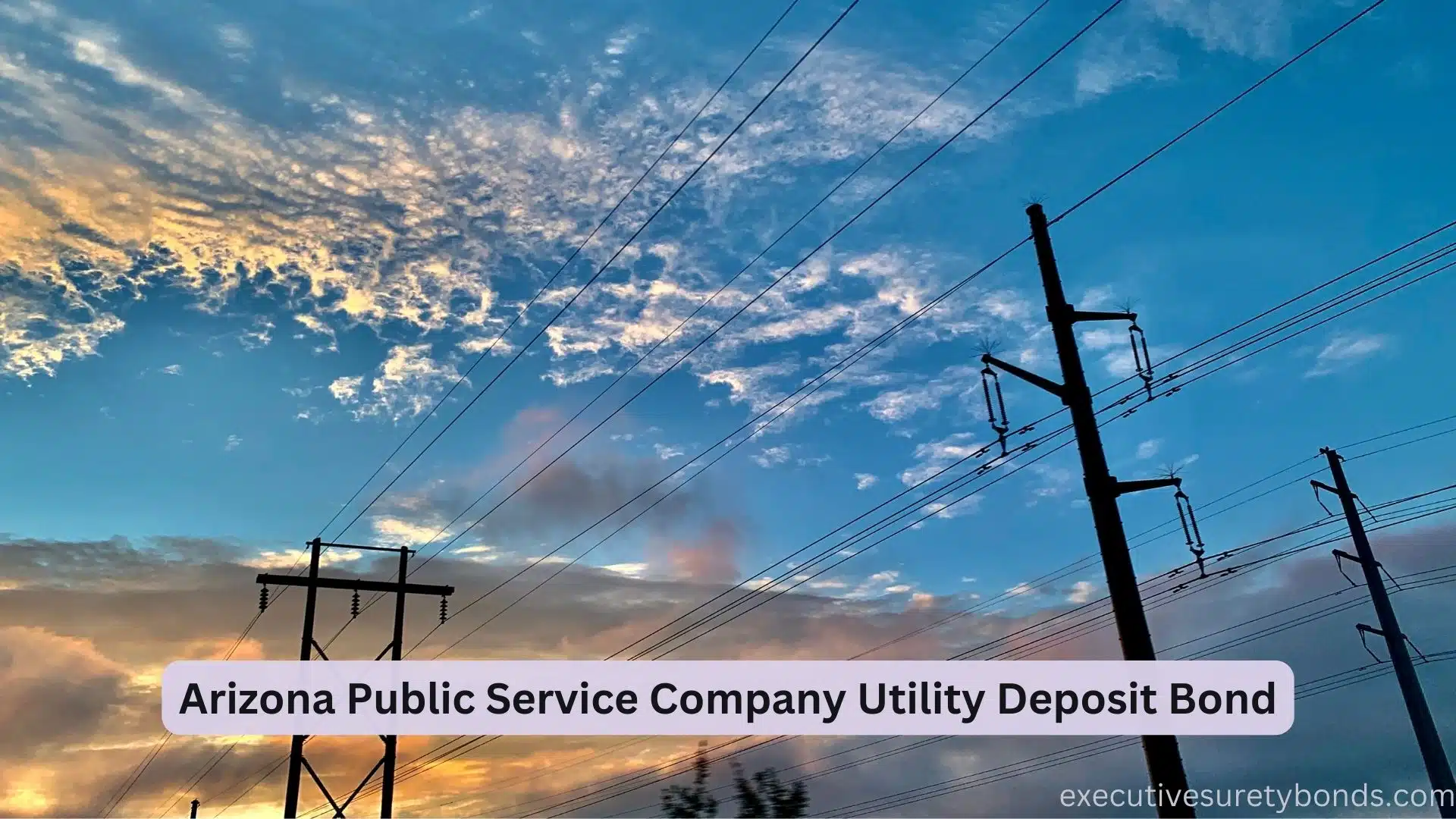 Empowering Electricity: The Arizona Public Service Company Utility Deposit Bond - Surety Bonds ...