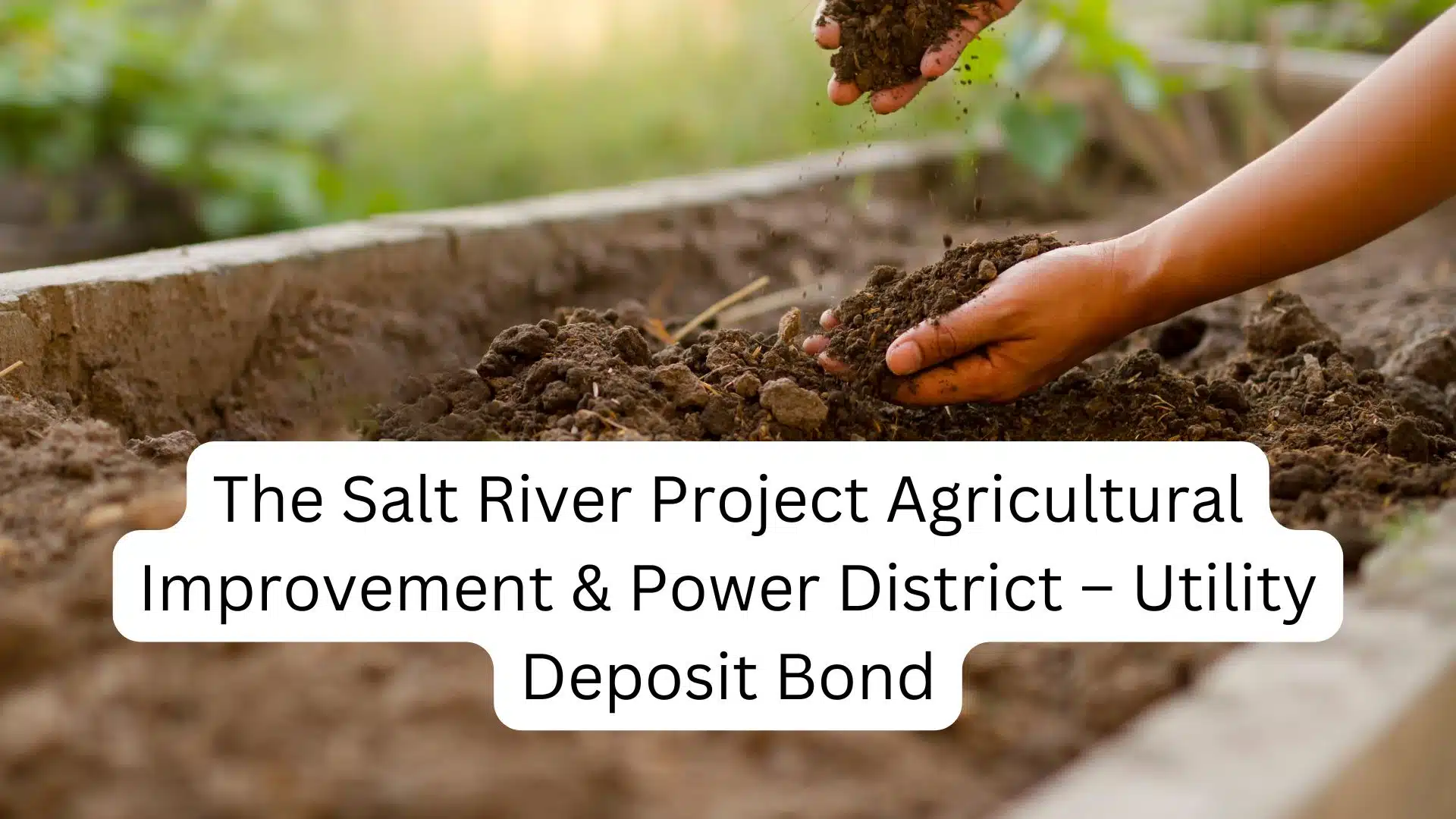 Empowering Agriculture: The Salt River Project Agricultural Improvement ...