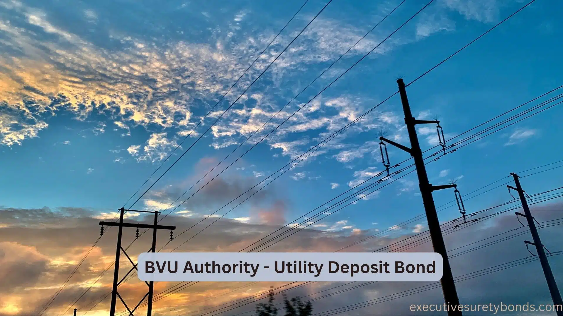 Empowering Reliable Utility Services: BVU Authority Utility Deposit ...