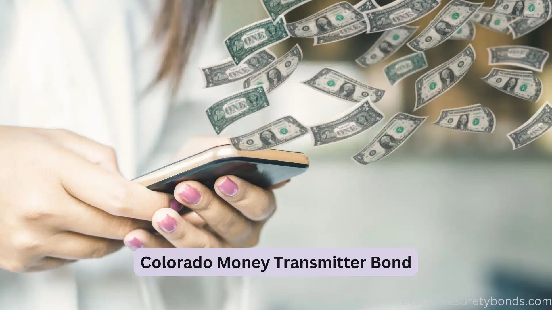 Navigating the Financial World: Understanding the Colorado Money ...