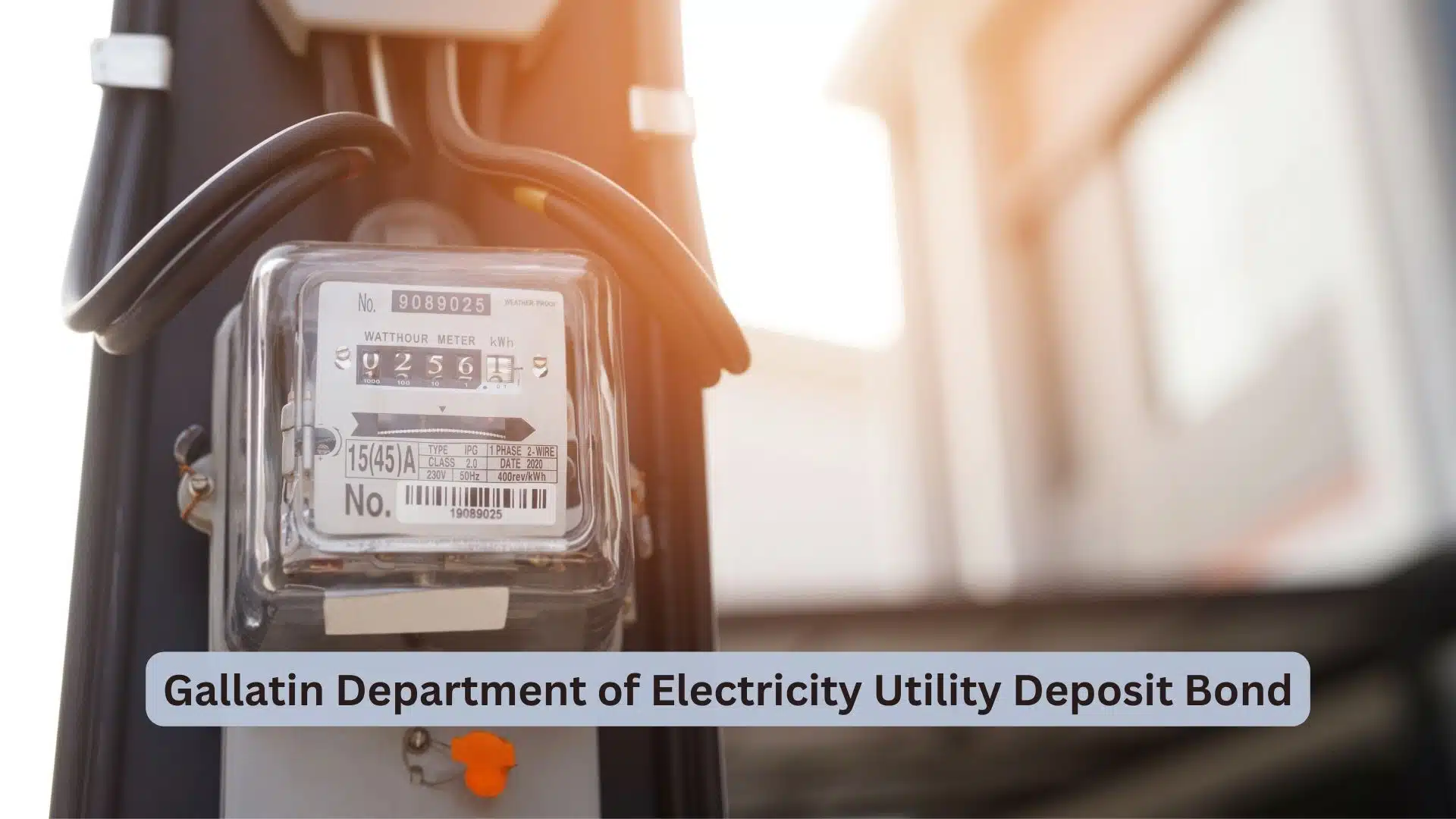 Empowering Electric Connections: Unveiling the Gallatin Department of ...