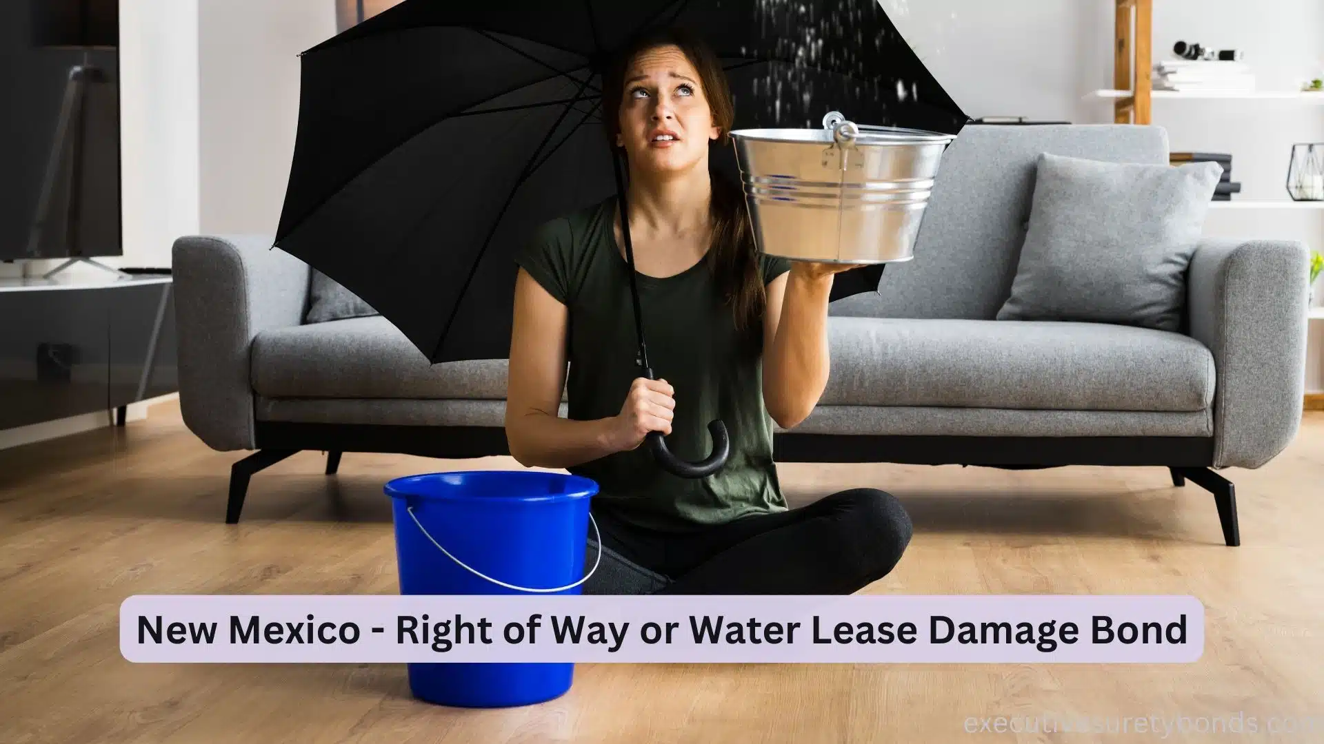 Paving the Way for Responsible Resource Management: New Mexico Right of ...