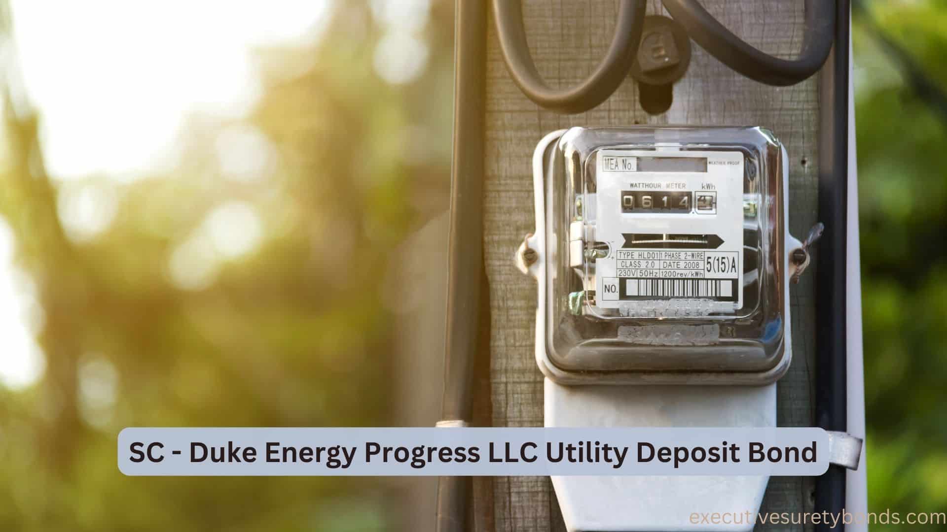 Empowering Utility Access: The SC - Duke Energy Progress LLC Utility ...