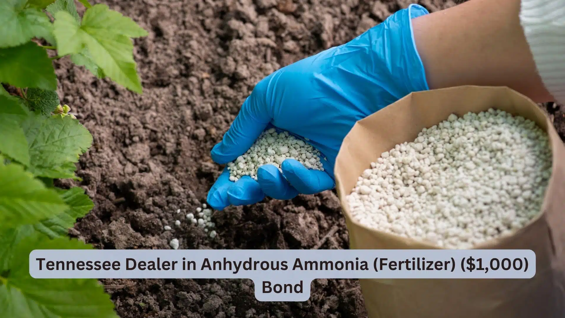 Demystifying the Tennessee Dealer in Anhydrous Ammonia (Fertilizer ...