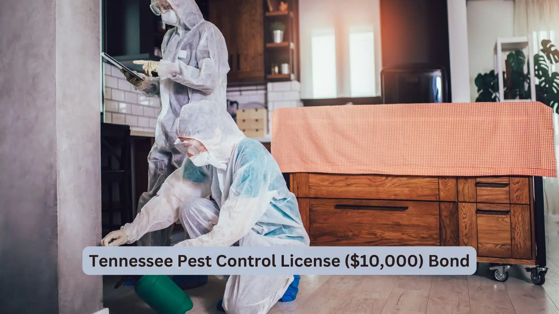 Tennessee Pest Control License Reciprocity at Joe Jennings blog