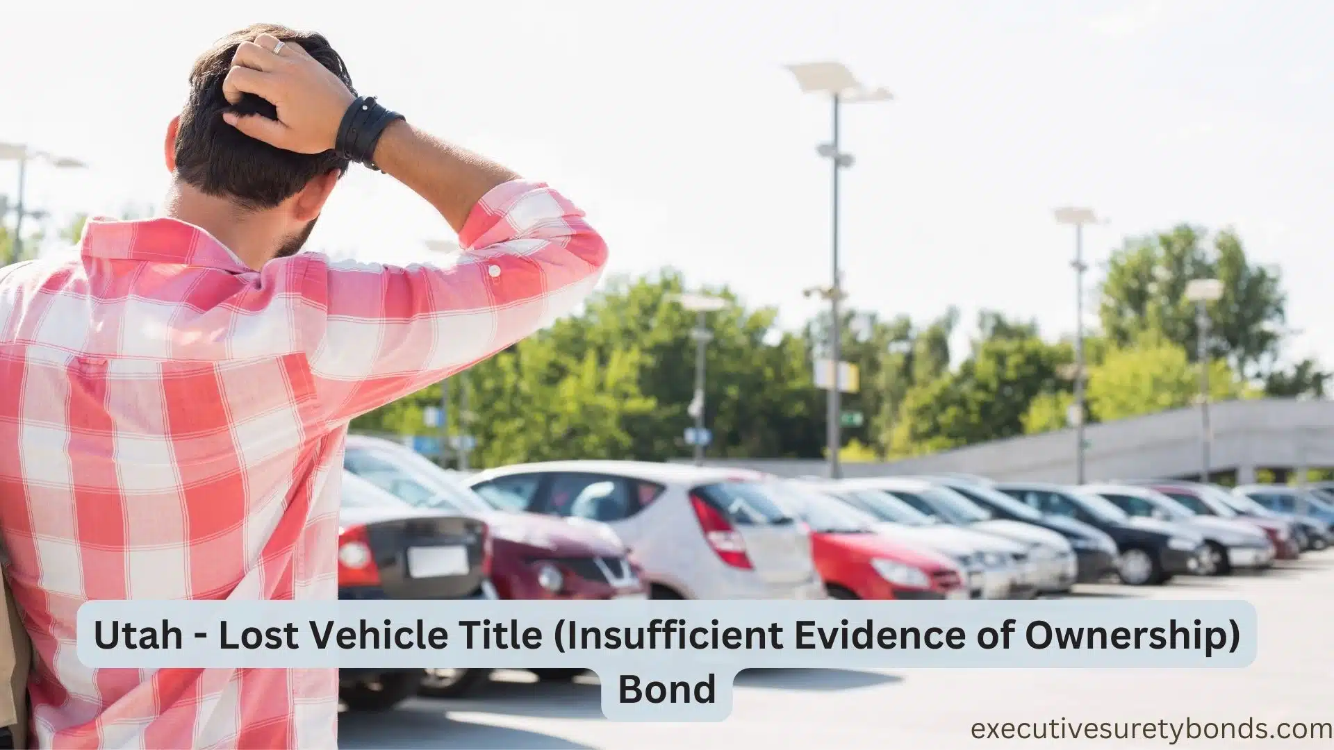 Reviving Ownership: Utah's Lost Vehicle Title (Insufficient Evidence of ...