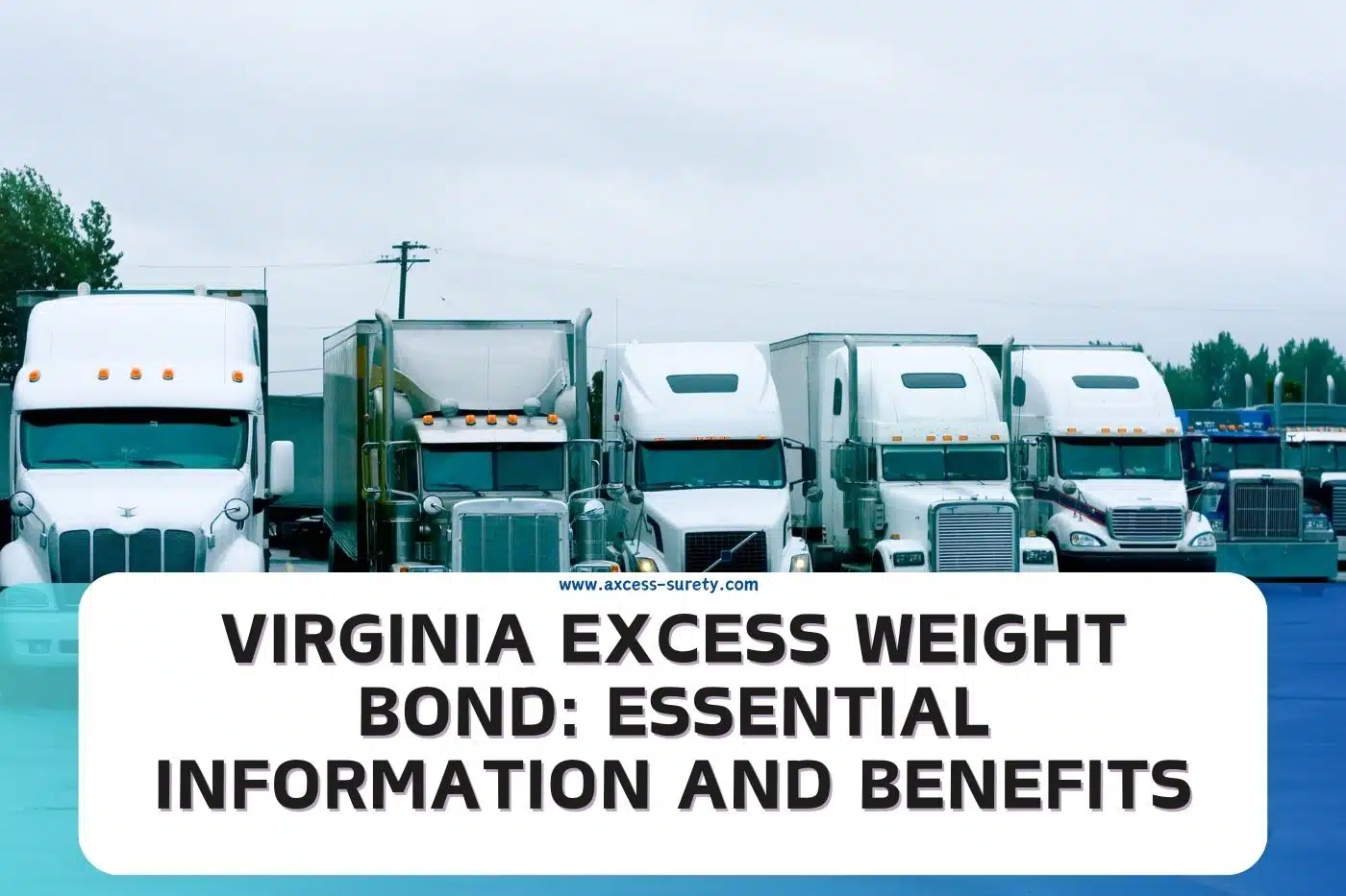 Virginia Excess Weight Bond: Essential Information and Benefits ...